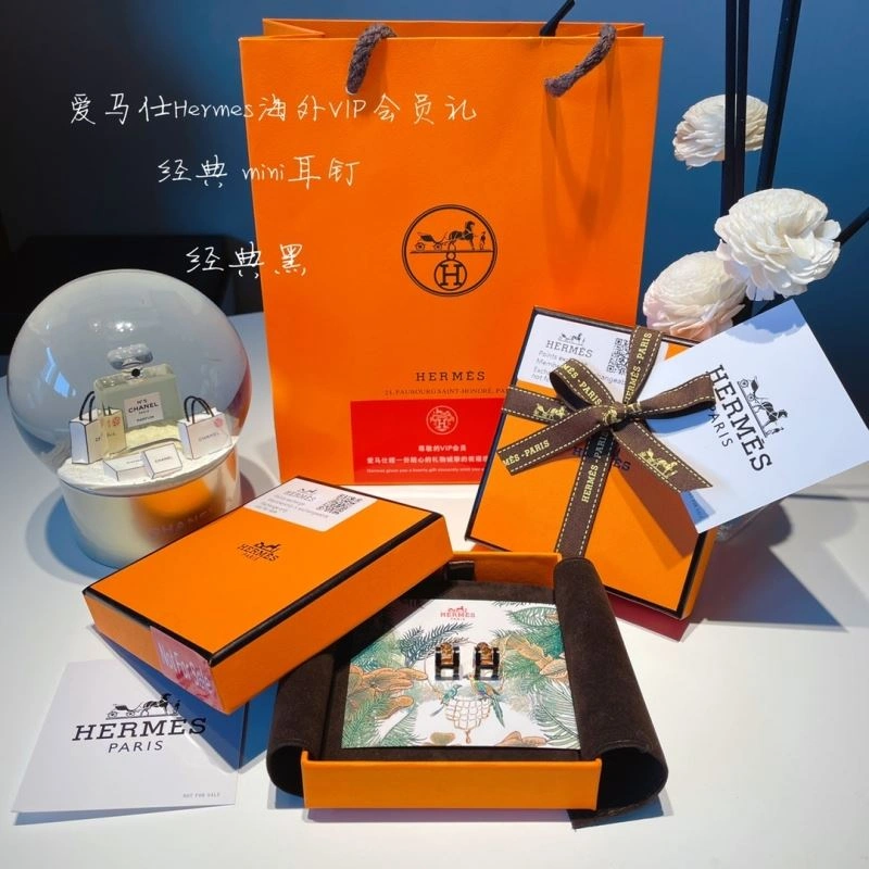 Hermes Earrings