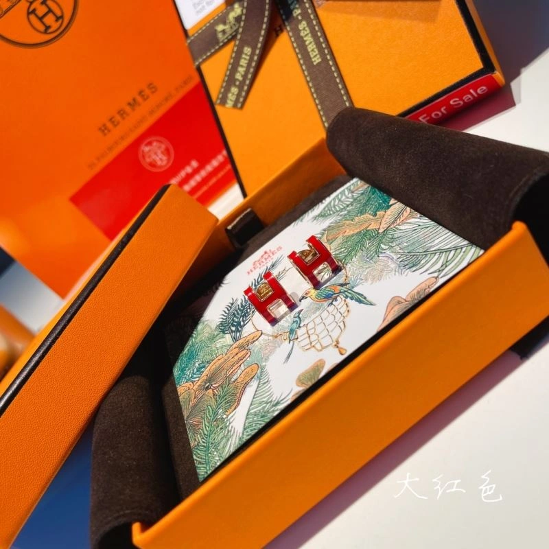 Value-priced Hermes Earrings