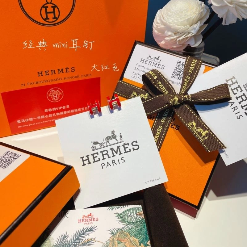 Value-priced Hermes Earrings