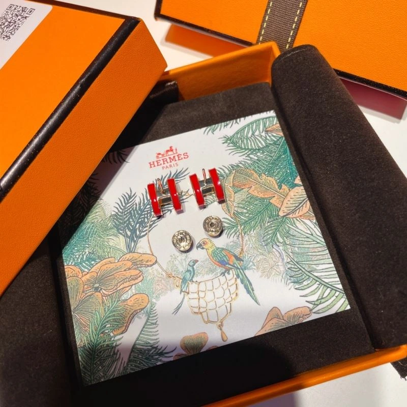 Value-priced Hermes Earrings