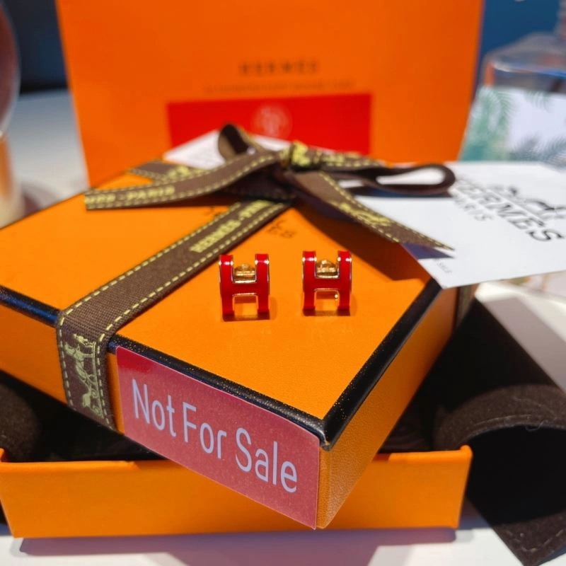Value-priced Hermes Earrings