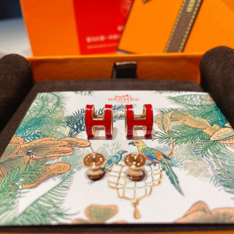 Value-priced Hermes Earrings