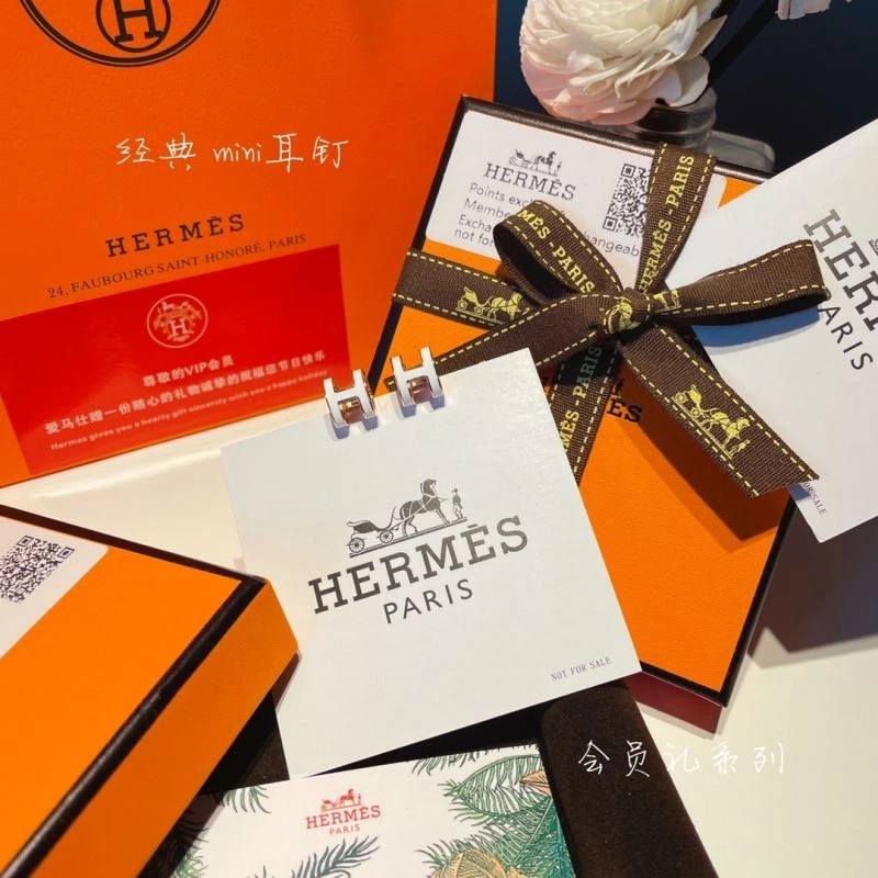 Genuine Hermes Earrings