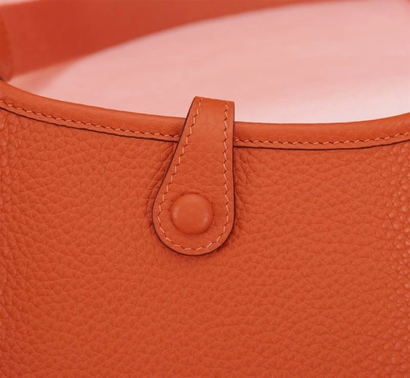 1:1 copy Hermes Evelyn Bags