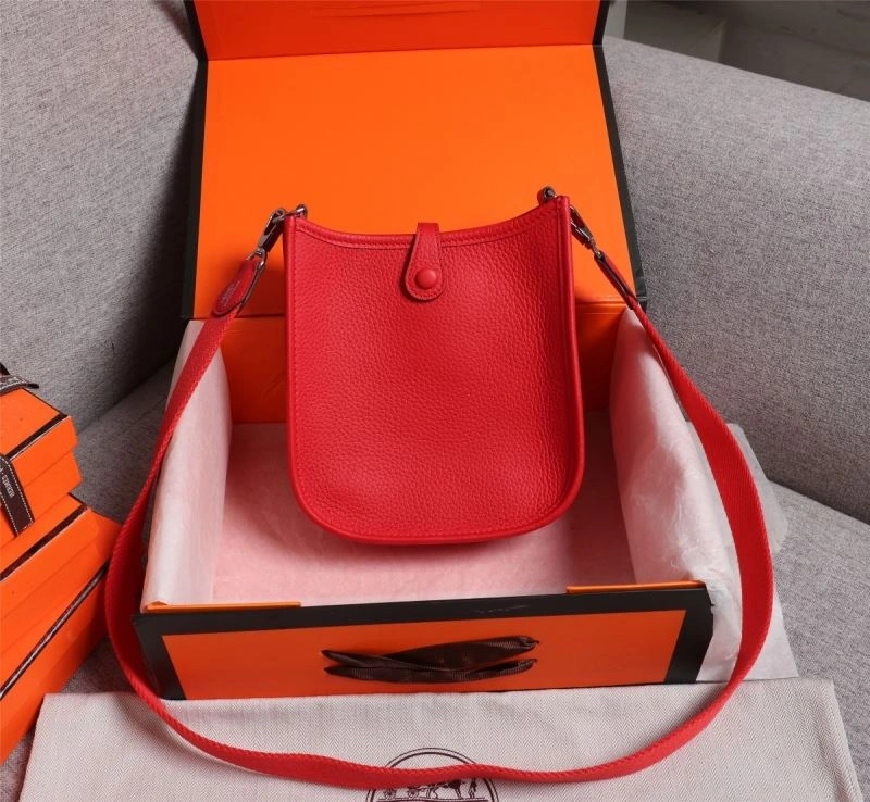 1:1 copy Hermes Evelyn Bags