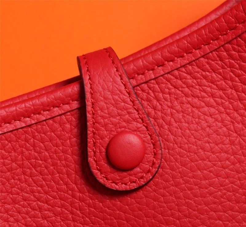 1:1 copy Hermes Evelyn Bags
