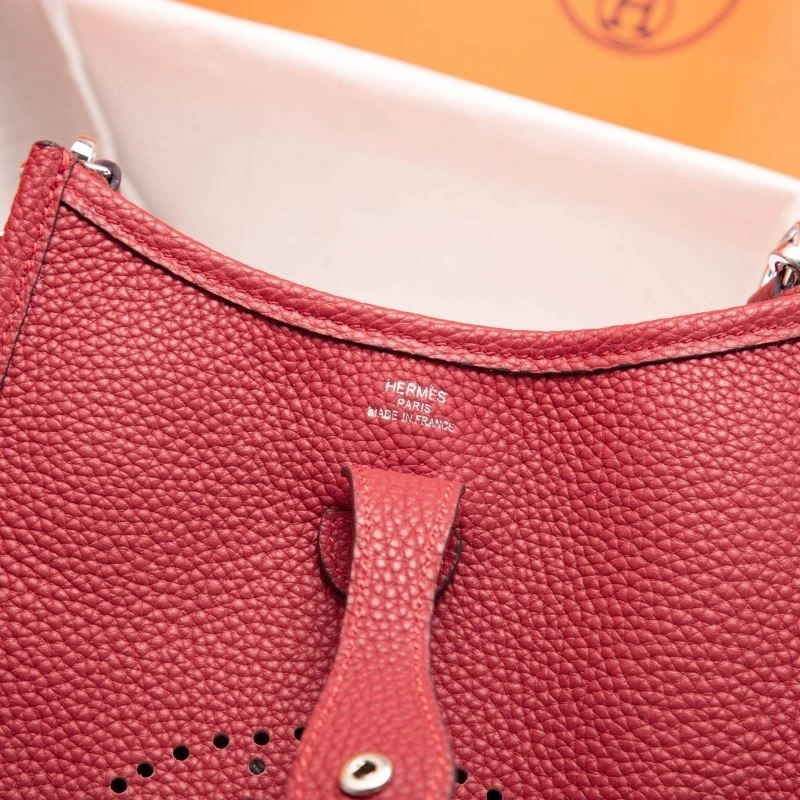 1:1 copy Hermes Evelyn Bags