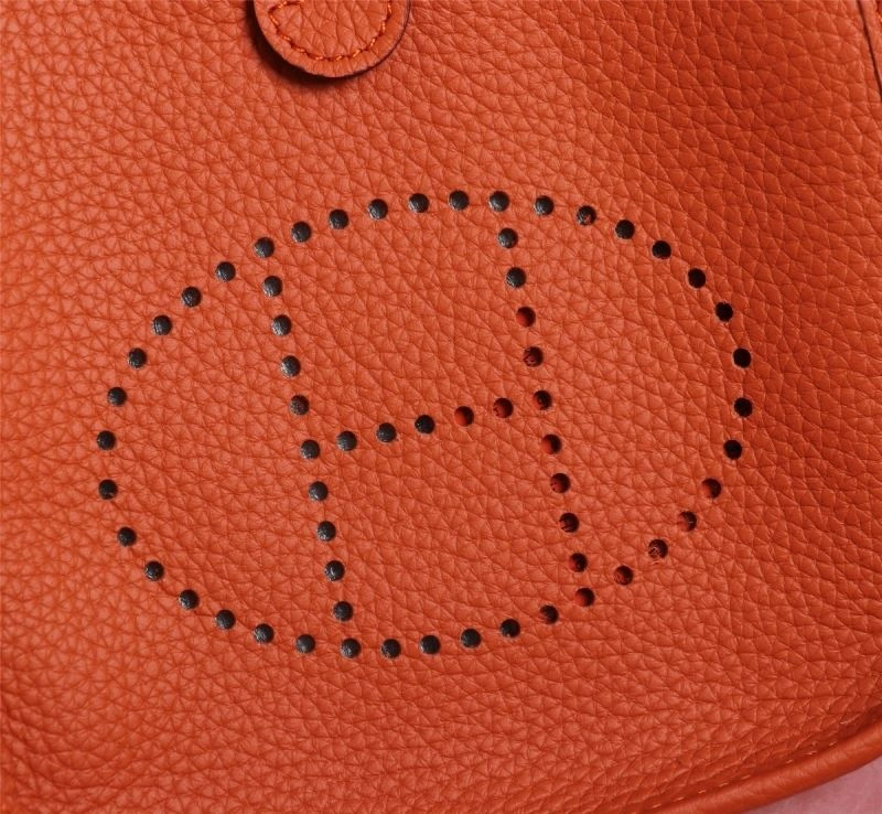 1:1 copy Hermes Evelyn Bags