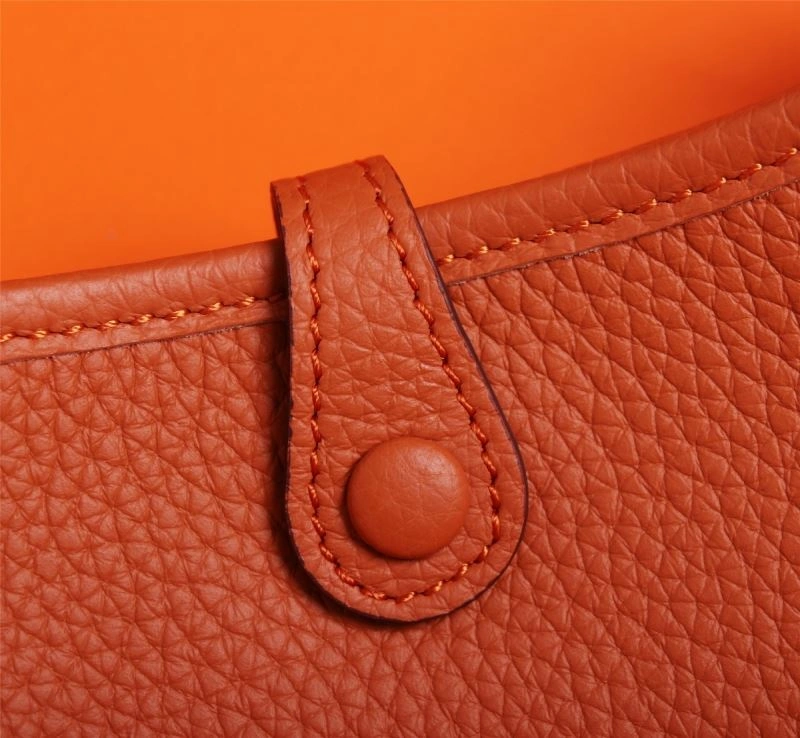 1:1 copy Hermes Evelyn Bags