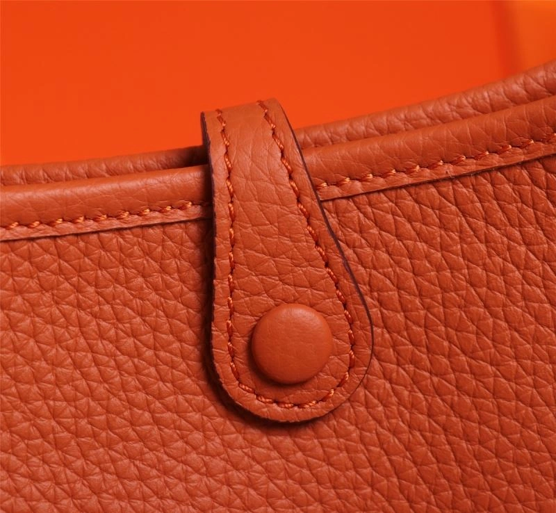 Official Hermes Evelyn Bags
