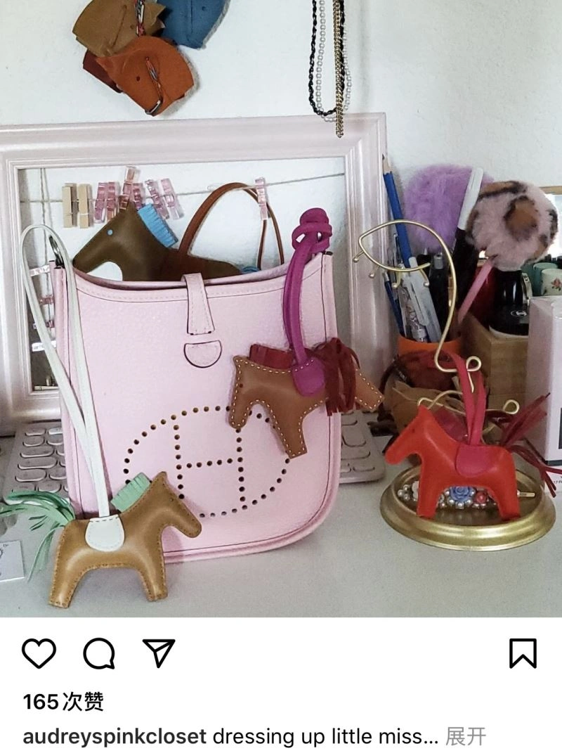Indistinguishable Hermes Evelyn Bags