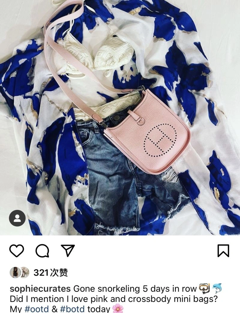 Indistinguishable Hermes Evelyn Bags