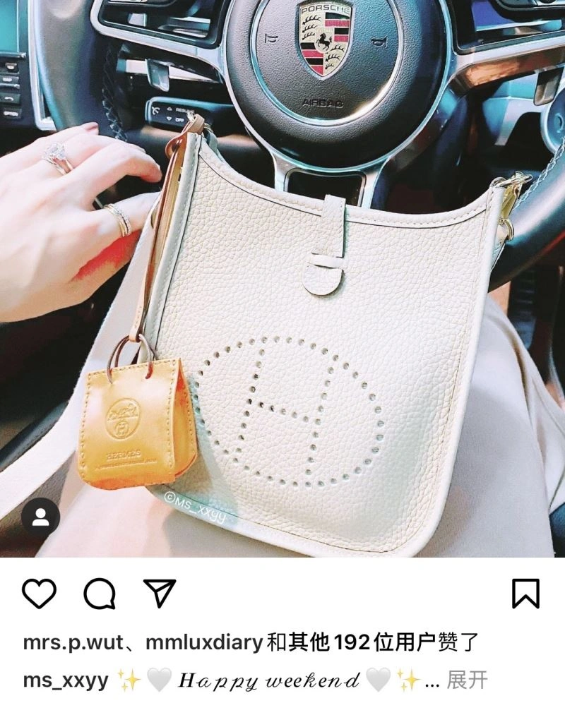Affordable Hermes Evelyn Bags