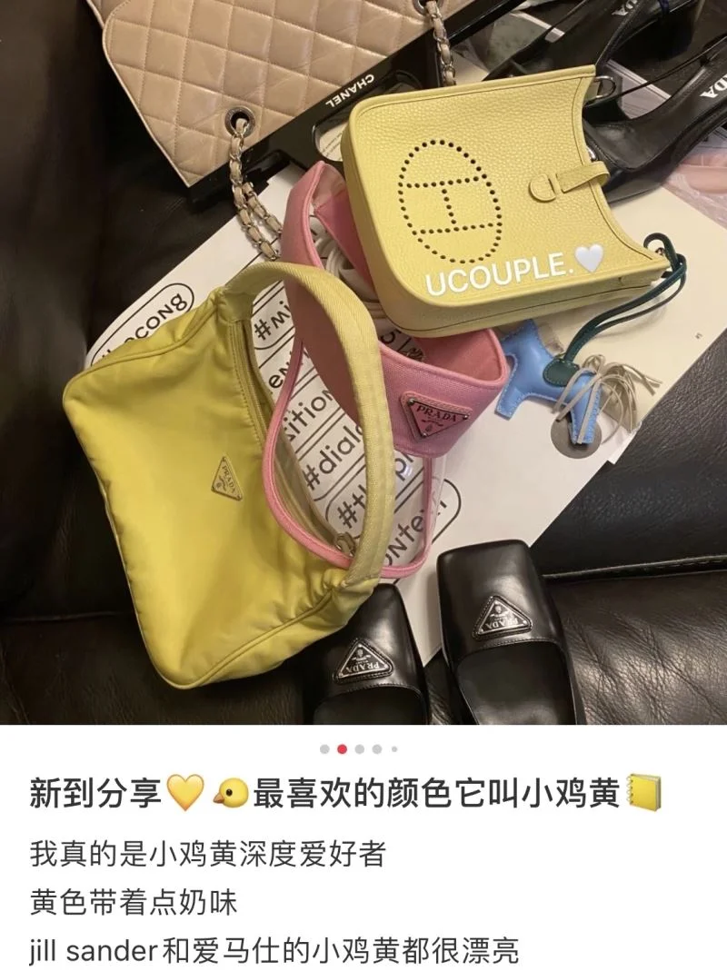 Real Hermes Evelyn Bags