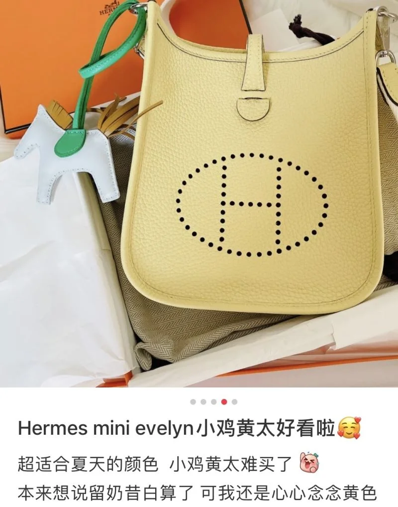 Real Hermes Evelyn Bags