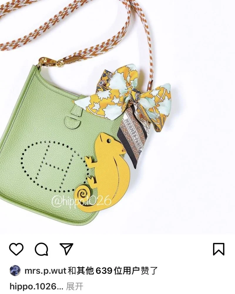 Accurate model Hermes Evelyn Bags