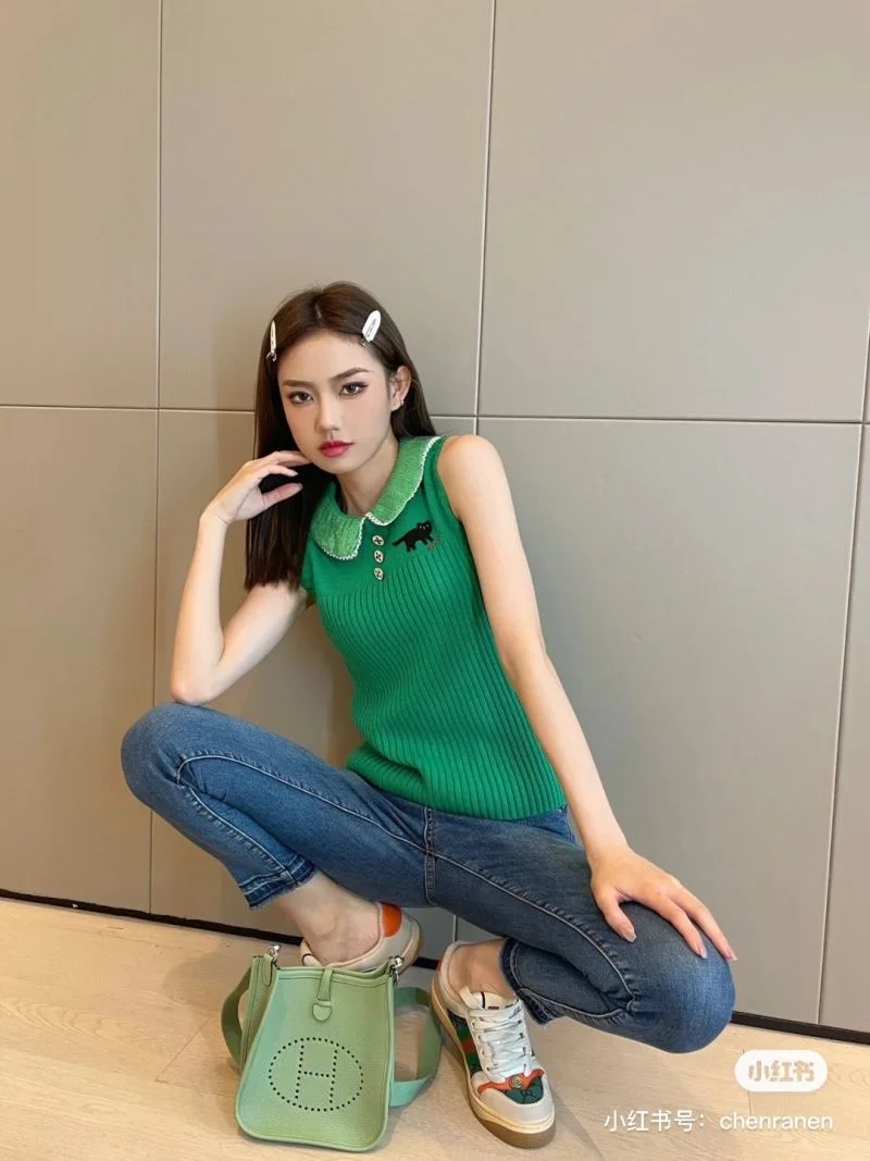 Accurate model Hermes Evelyn Bags
