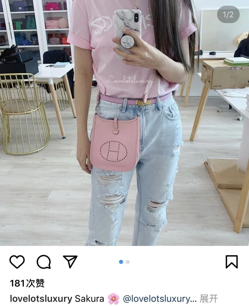 Accurate model Hermes Evelyn Bags
