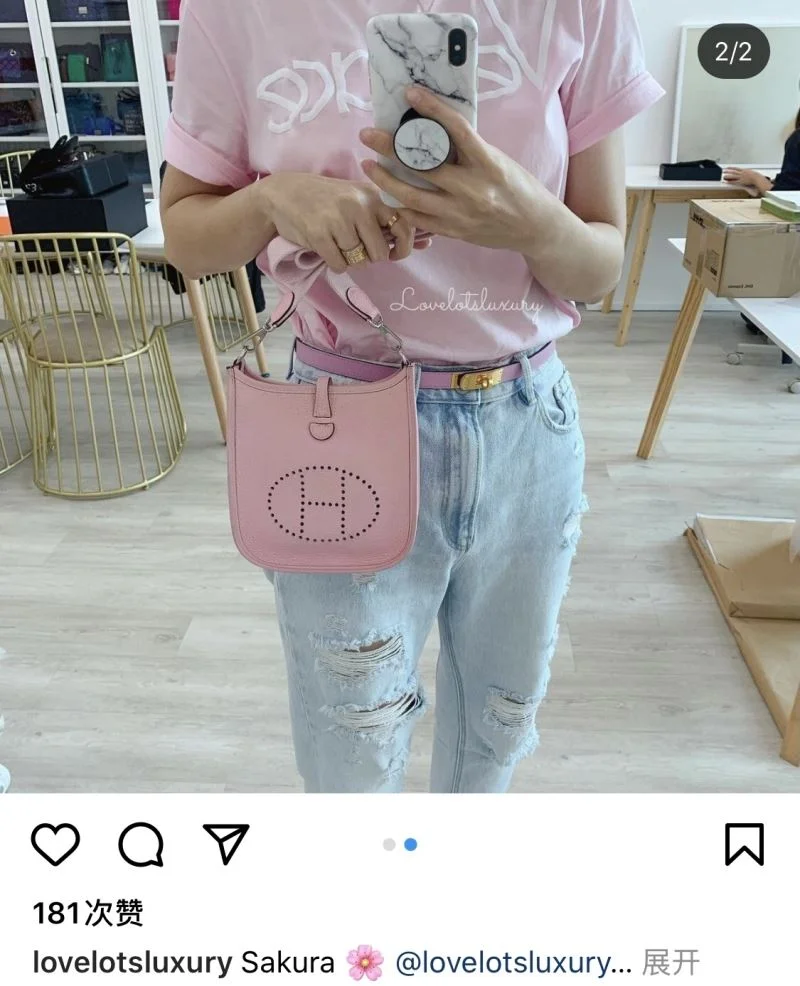 Accurate model Hermes Evelyn Bags