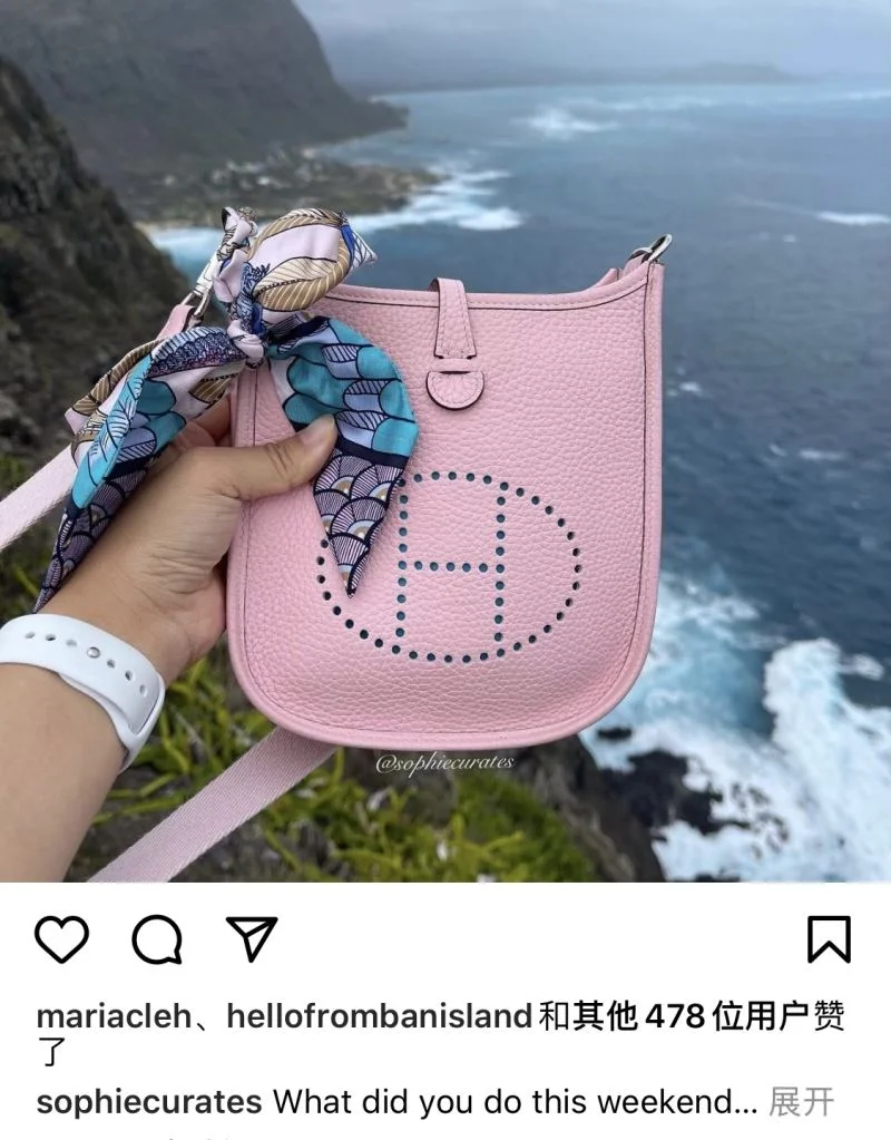 Accurate model Hermes Evelyn Bags
