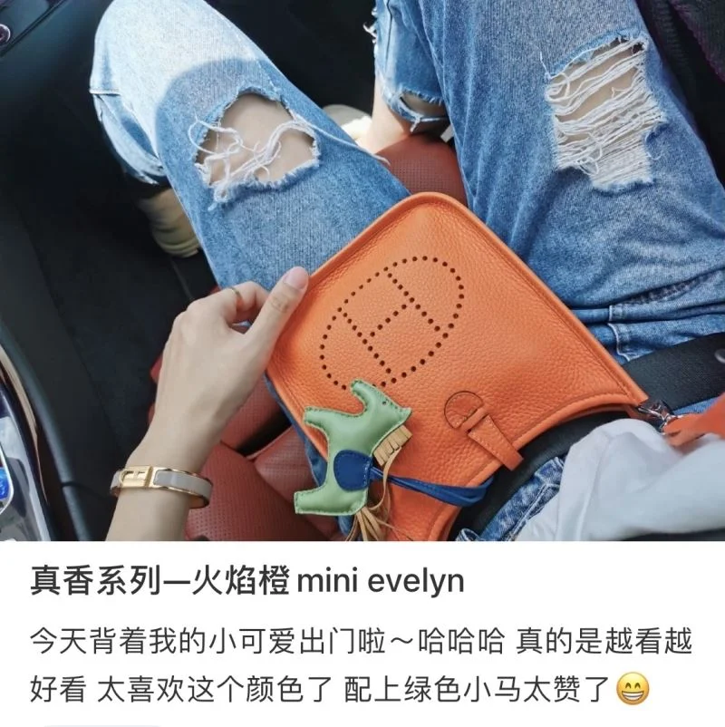 High fidelity Hermes Evelyn Bags