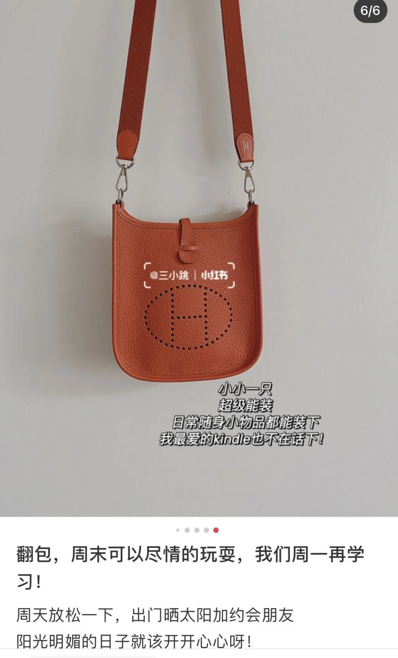 High fidelity Hermes Evelyn Bags