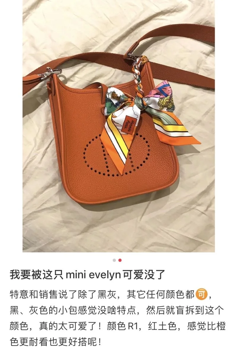 High fidelity Hermes Evelyn Bags