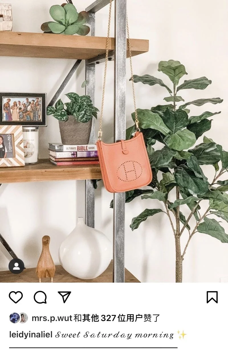 High fidelity Hermes Evelyn Bags