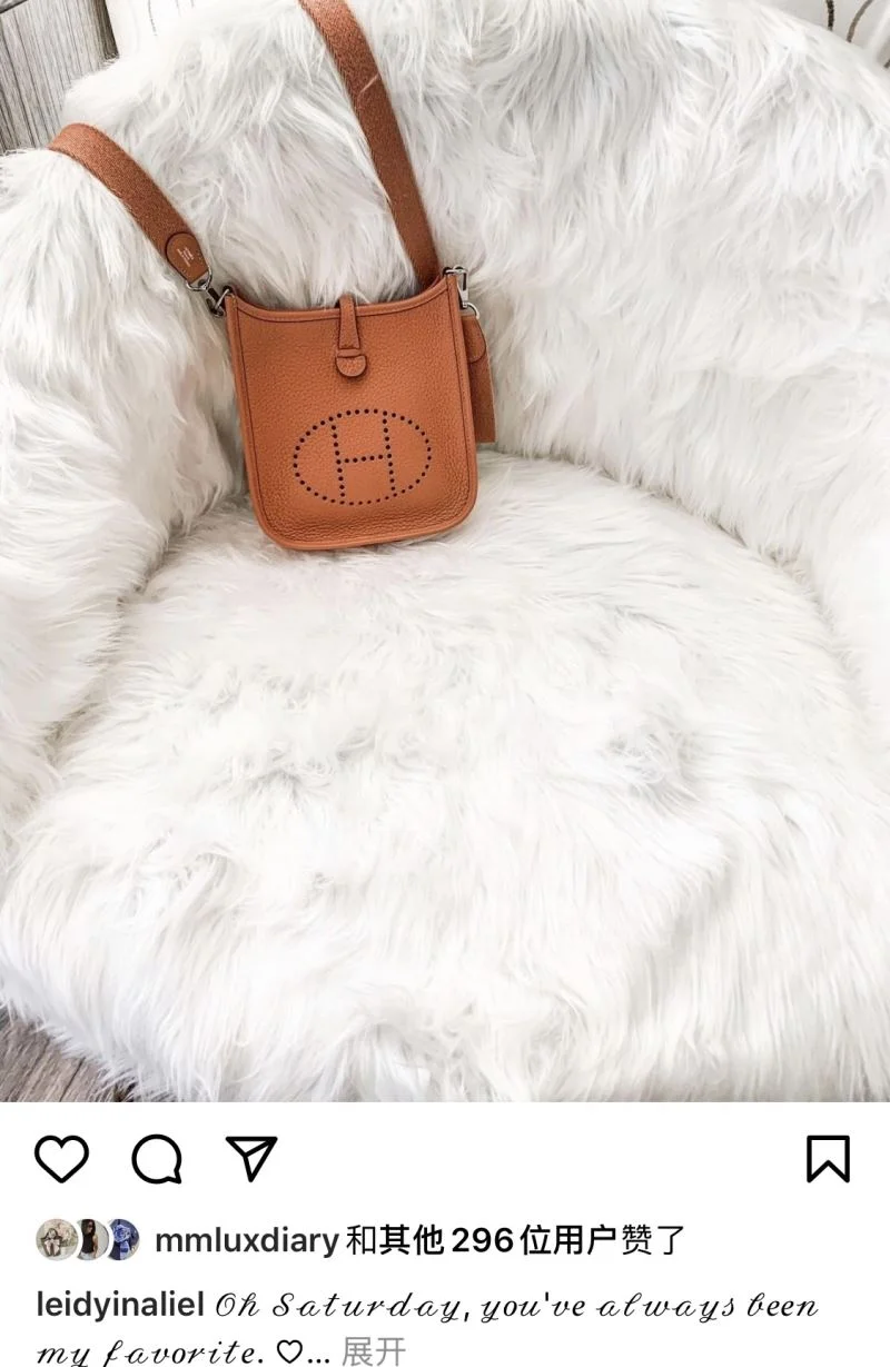 High fidelity Hermes Evelyn Bags