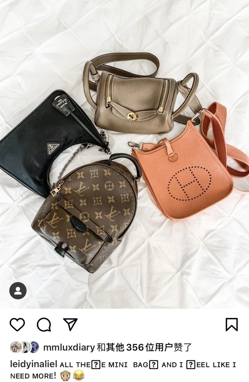 High fidelity Hermes Evelyn Bags