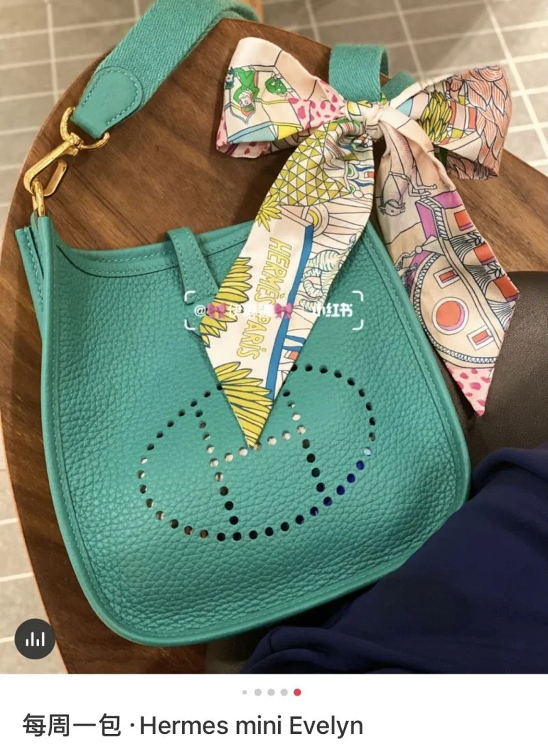 Discounted Hermes Evelyn Bags