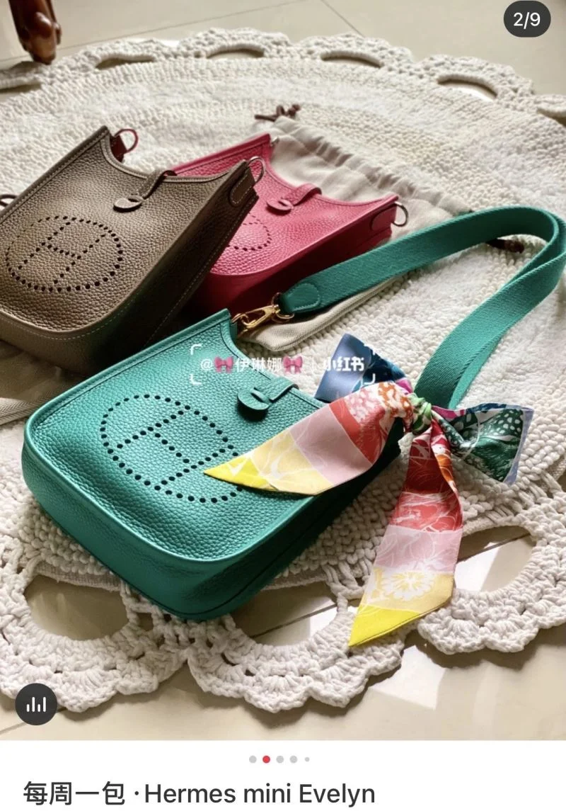 Discounted Hermes Evelyn Bags