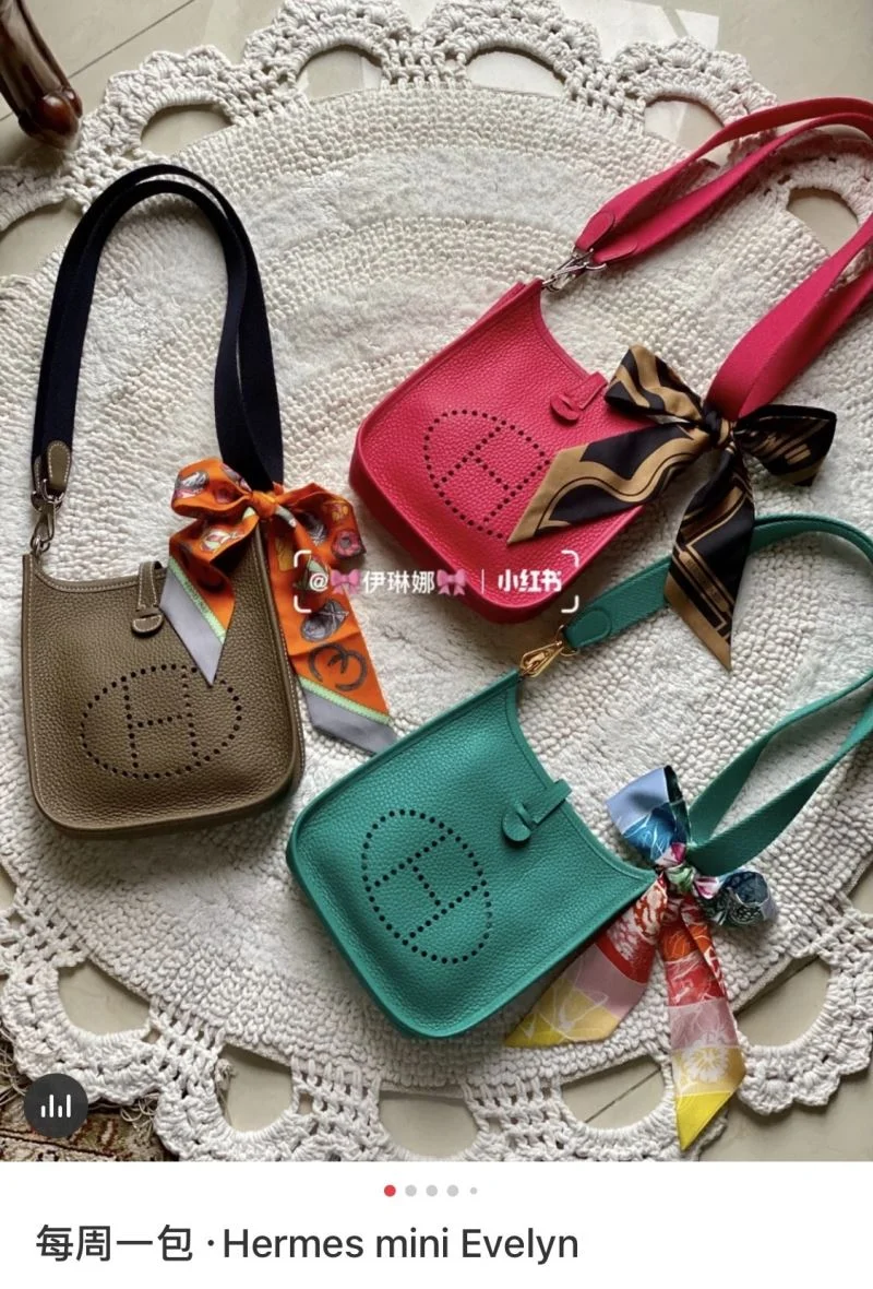 Discounted Hermes Evelyn Bags