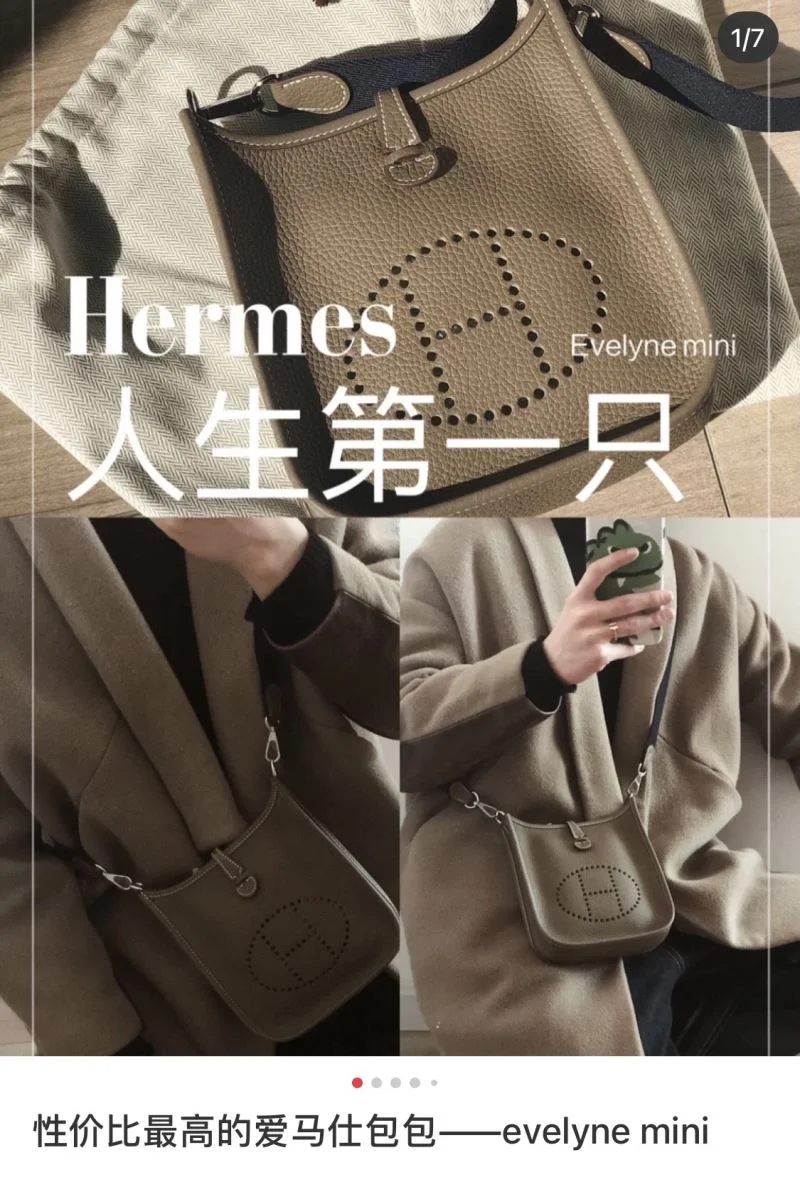 Economical Hermes Evelyn Bags