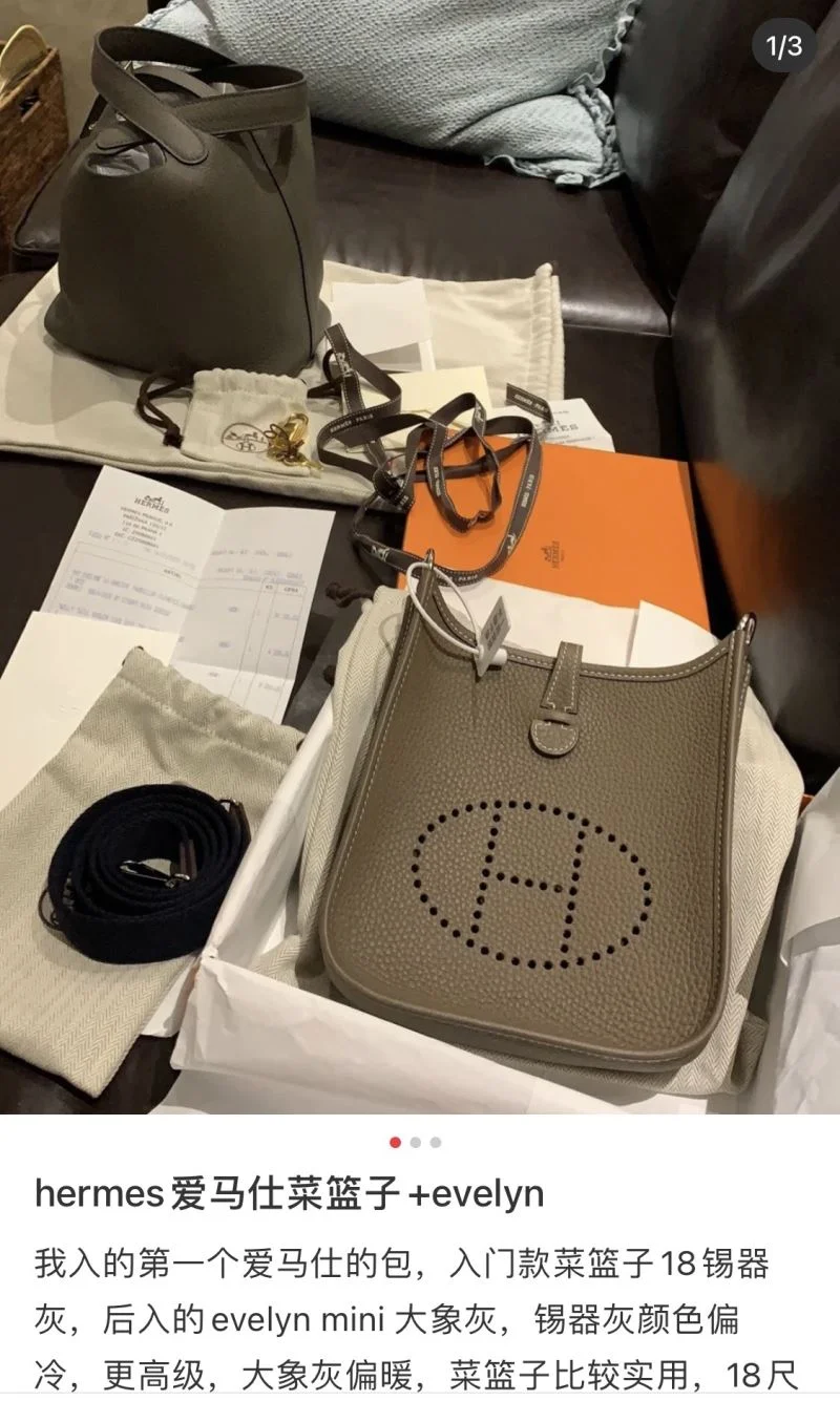 Economical Hermes Evelyn Bags