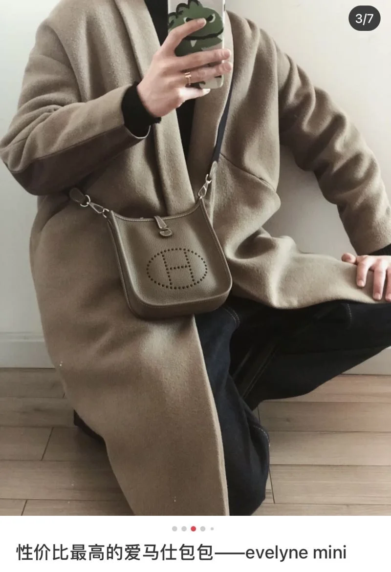 Economical Hermes Evelyn Bags