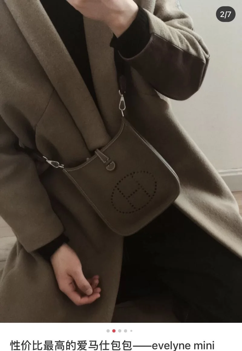 Economical Hermes Evelyn Bags