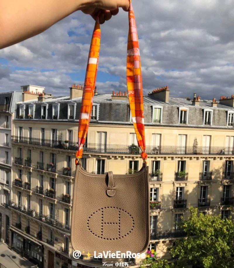 Economical Hermes Evelyn Bags