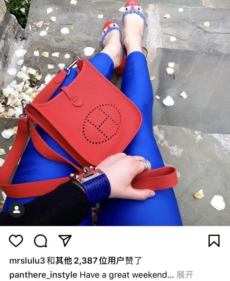 Discounted Hermes Evelyn Bags
