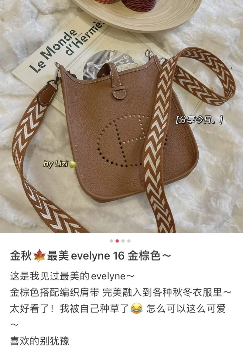 Indistinguishable Hermes Evelyn Bags