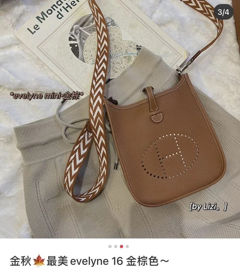 Indistinguishable Hermes Evelyn Bags