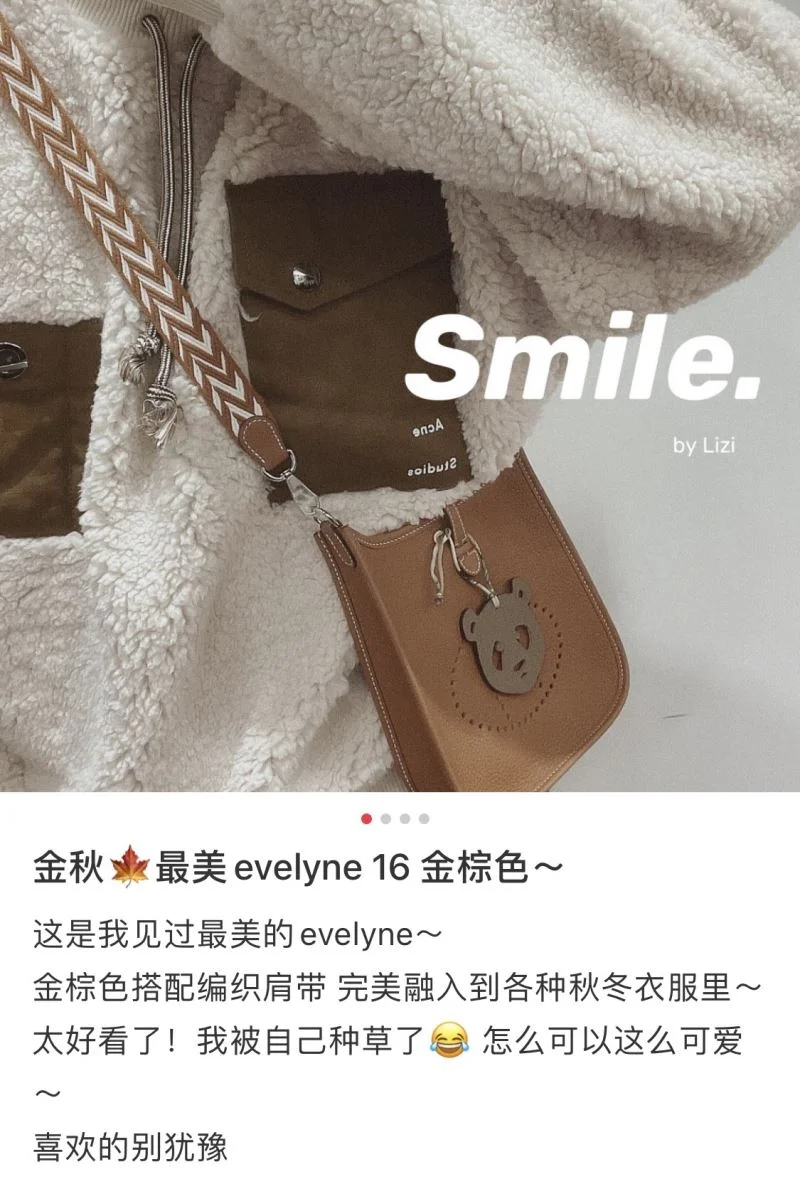 Indistinguishable Hermes Evelyn Bags