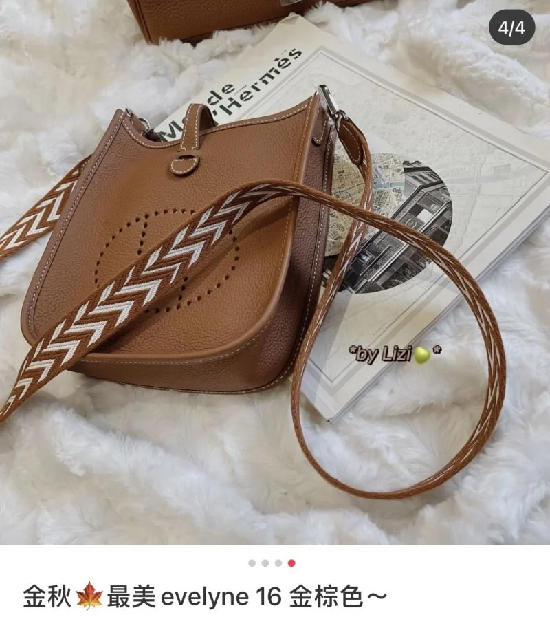 Indistinguishable Hermes Evelyn Bags