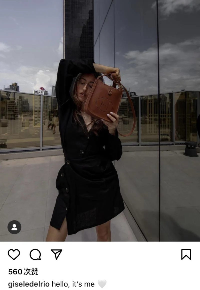 Top mirror Hermes Evelyn Bags