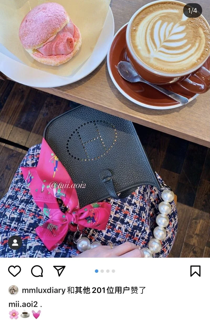 Reasonably priced Hermes Evelyn Bags