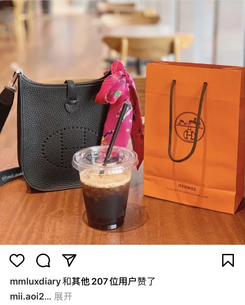 Reasonably priced Hermes Evelyn Bags