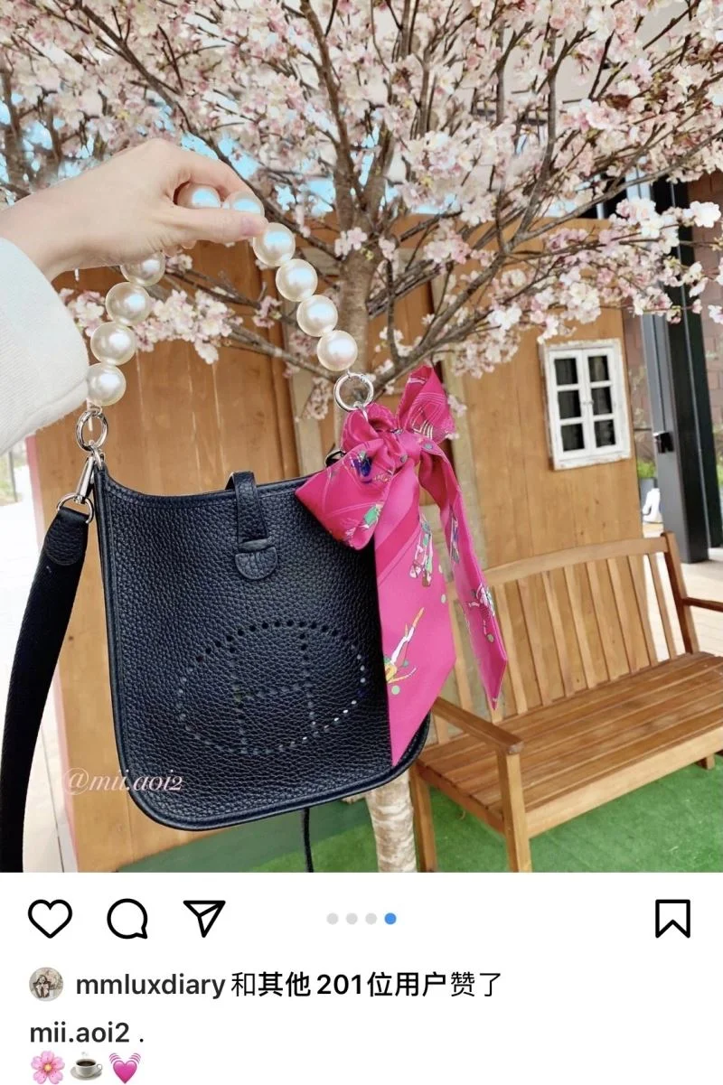 Reasonably priced Hermes Evelyn Bags