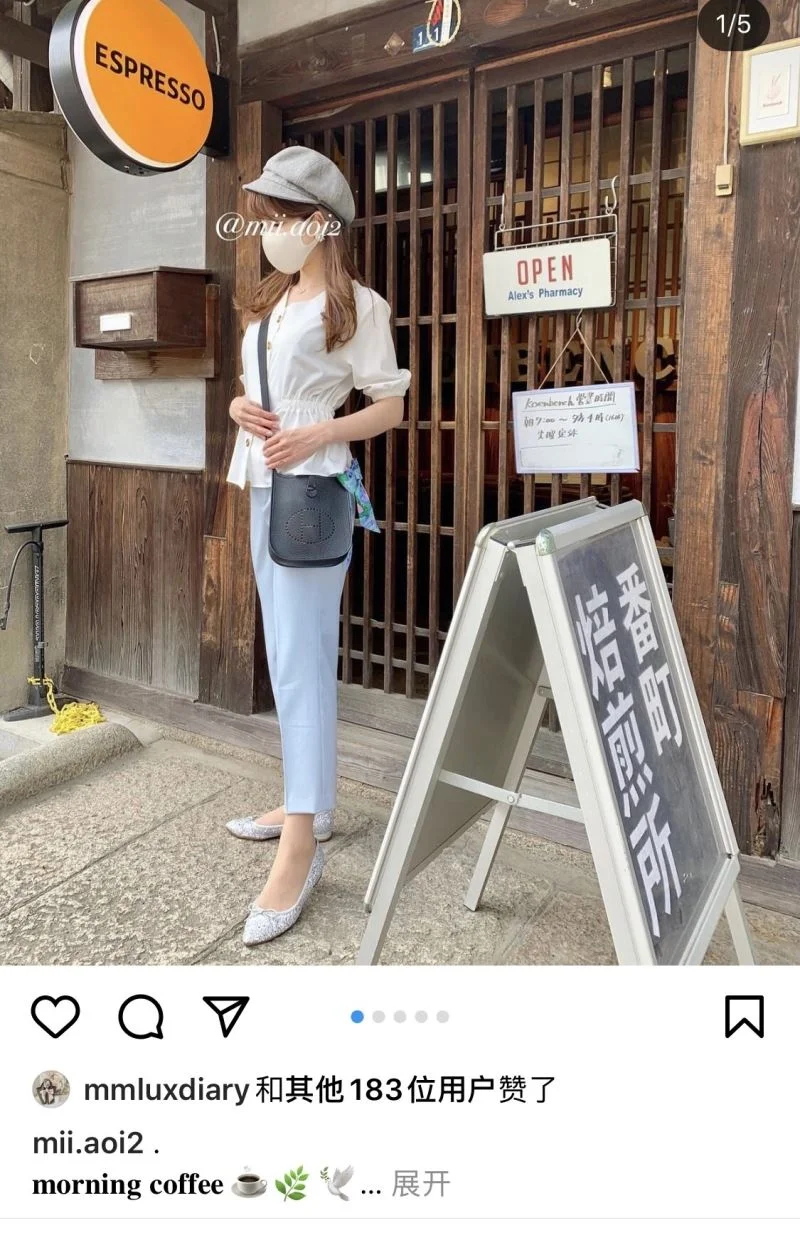 Reasonably priced Hermes Evelyn Bags
