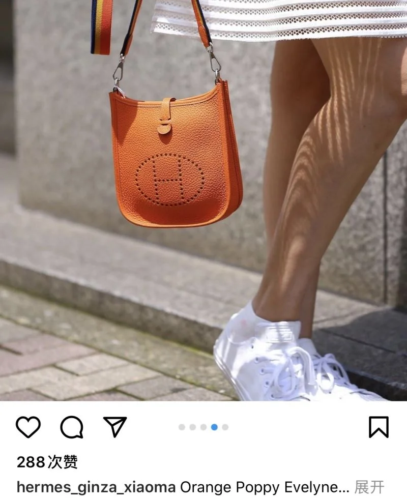 High accuracy Hermes Evelyn Bags