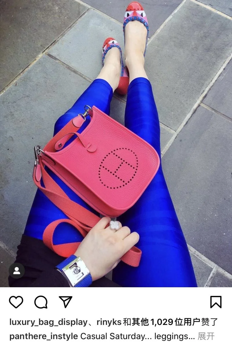 Economical Hermes Evelyn Bags